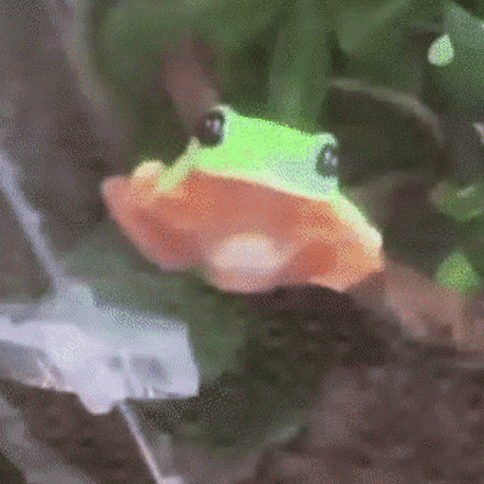 Revolutionize Your Discord Polls! Quick, Simple, or Advanced - Your ...